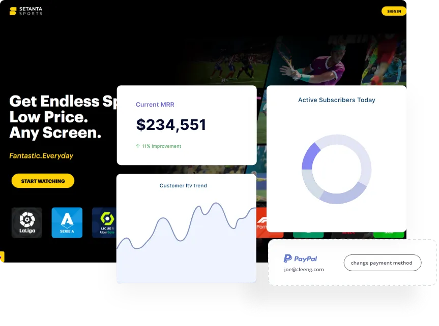 Cleeng: Subscriber Retention Management for OTT services